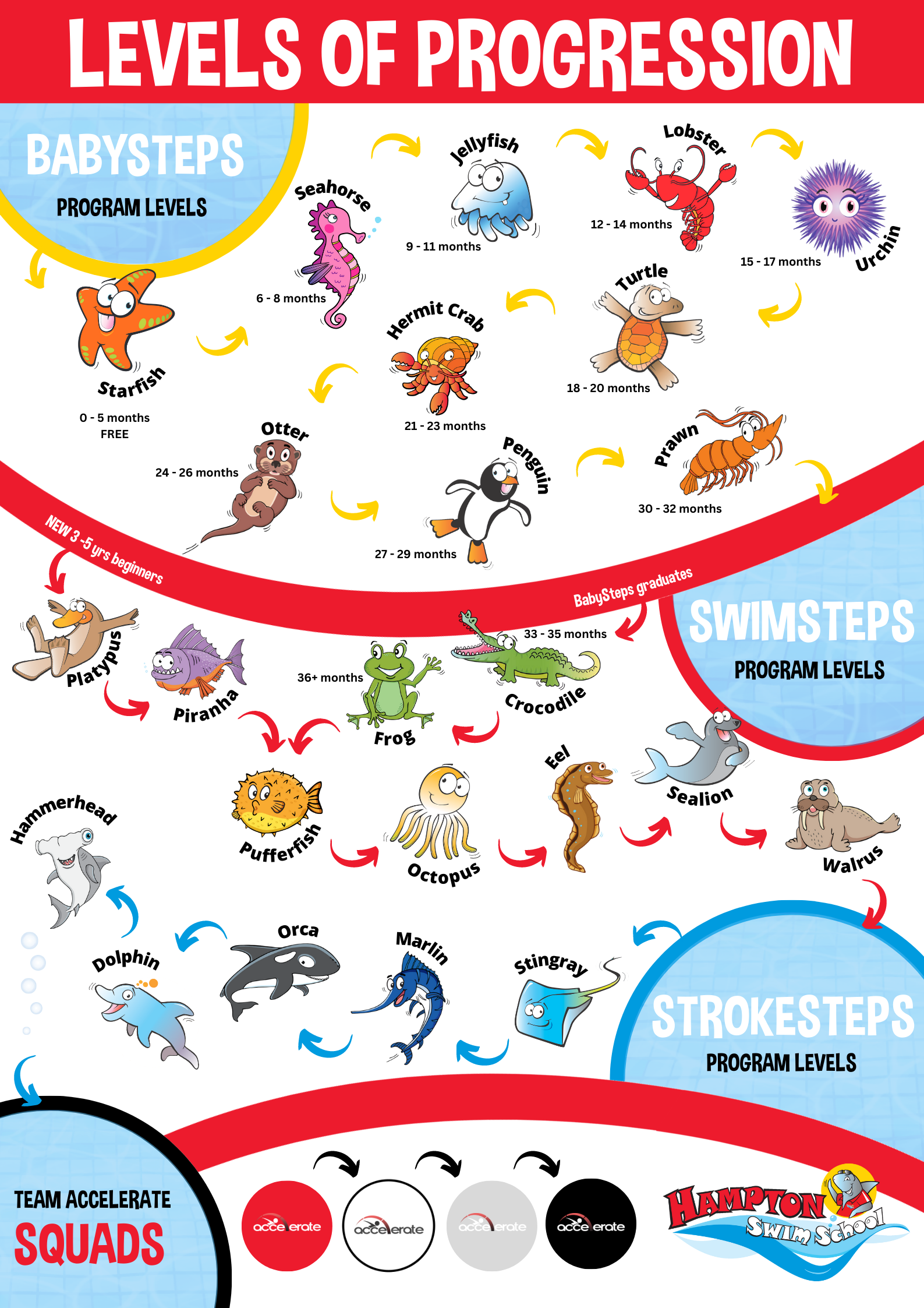 Learn to Swim Brisbane Southside: Hampton Swim School